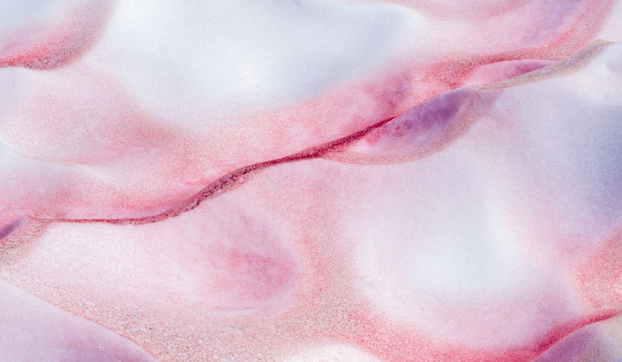 Red Snow Algae - CoValence Laboratories